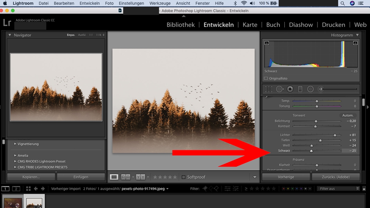 Lightroom-Workflow: Optimale Bildbearbeitung | UPDATED