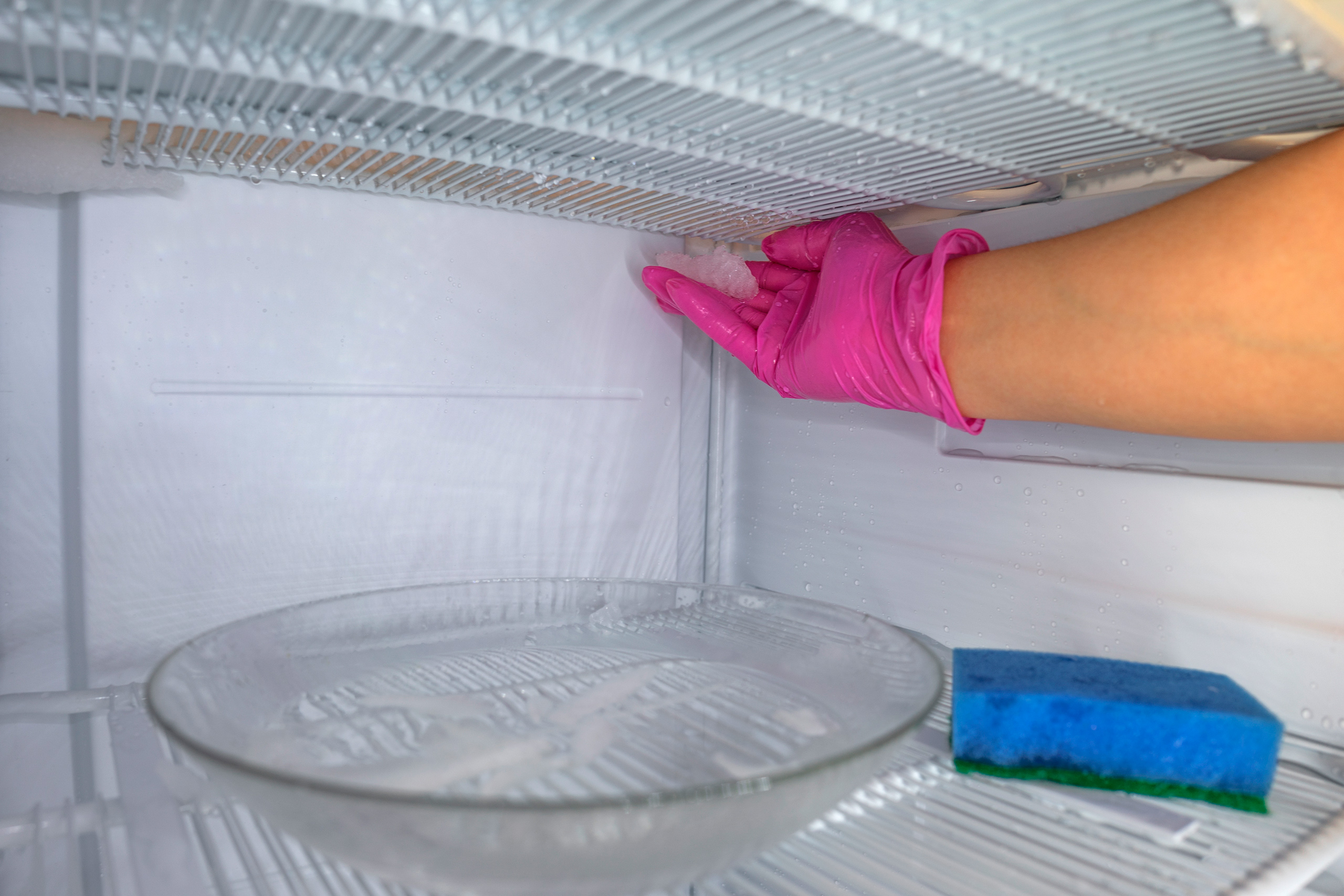 Umzug Kühlschrank Abtauen