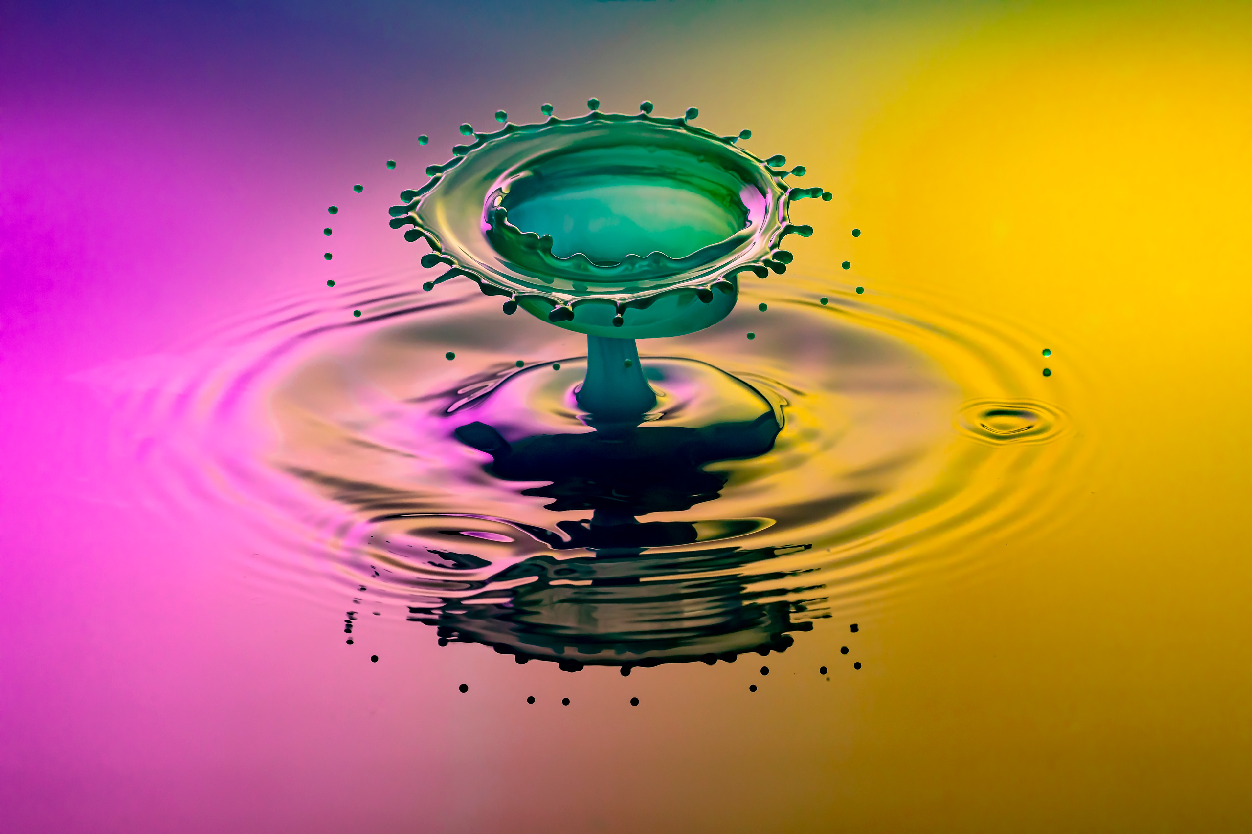 Wassertropfen fotografieren: Tipps für einmalige Bilder | OTTO