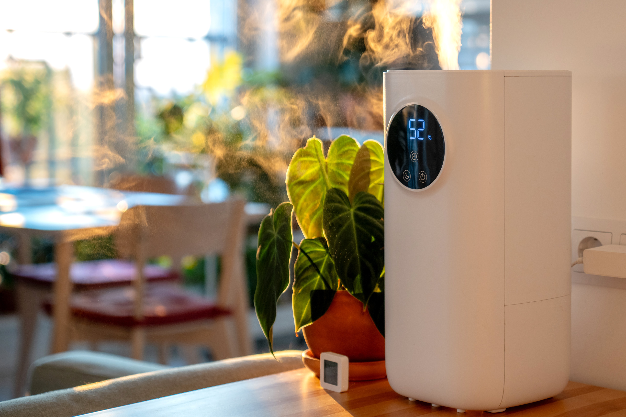 Luftbefeuchter: Optimale Luftqualität für dein Zuhause | OTTO
