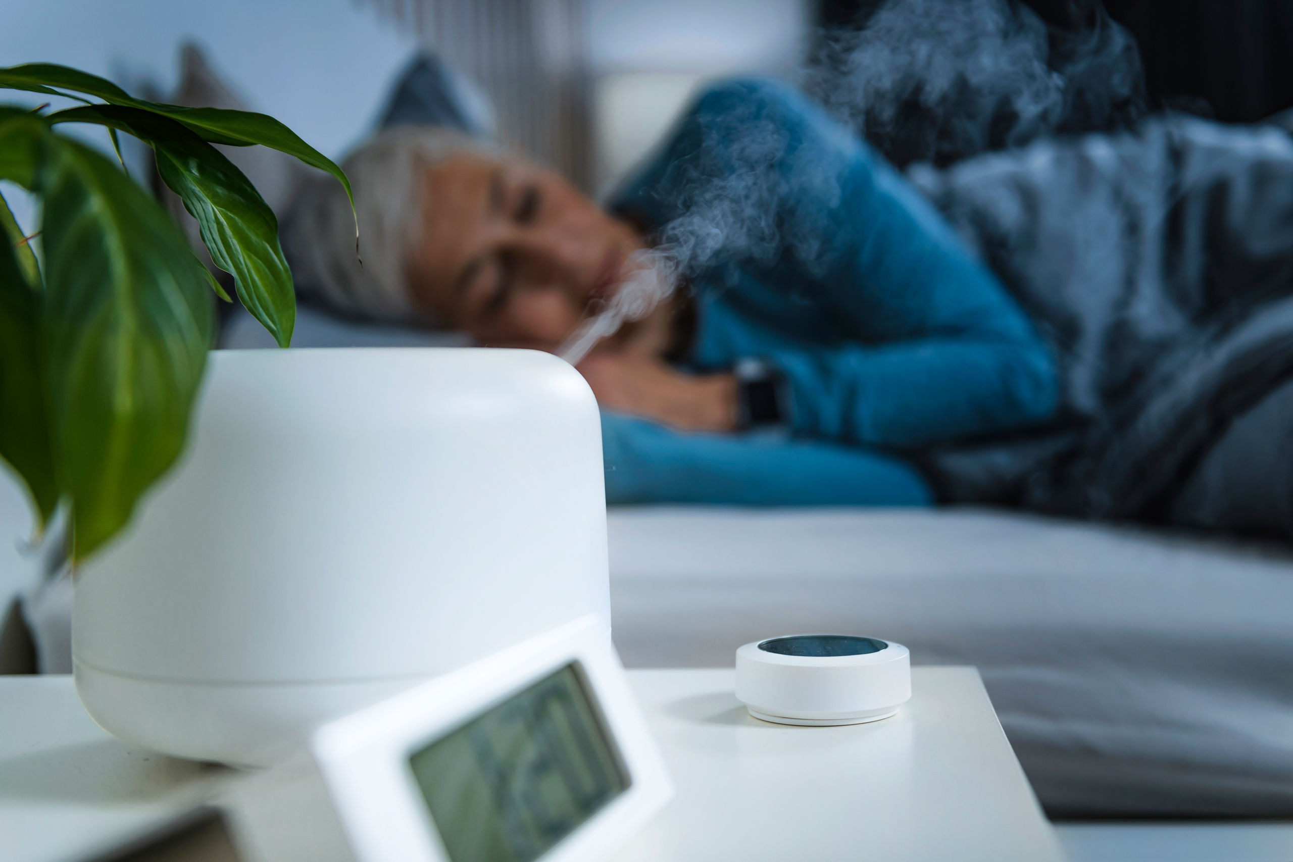 Luftbefeuchter: Optimale Luftqualität für dein Zuhause | OTTO
